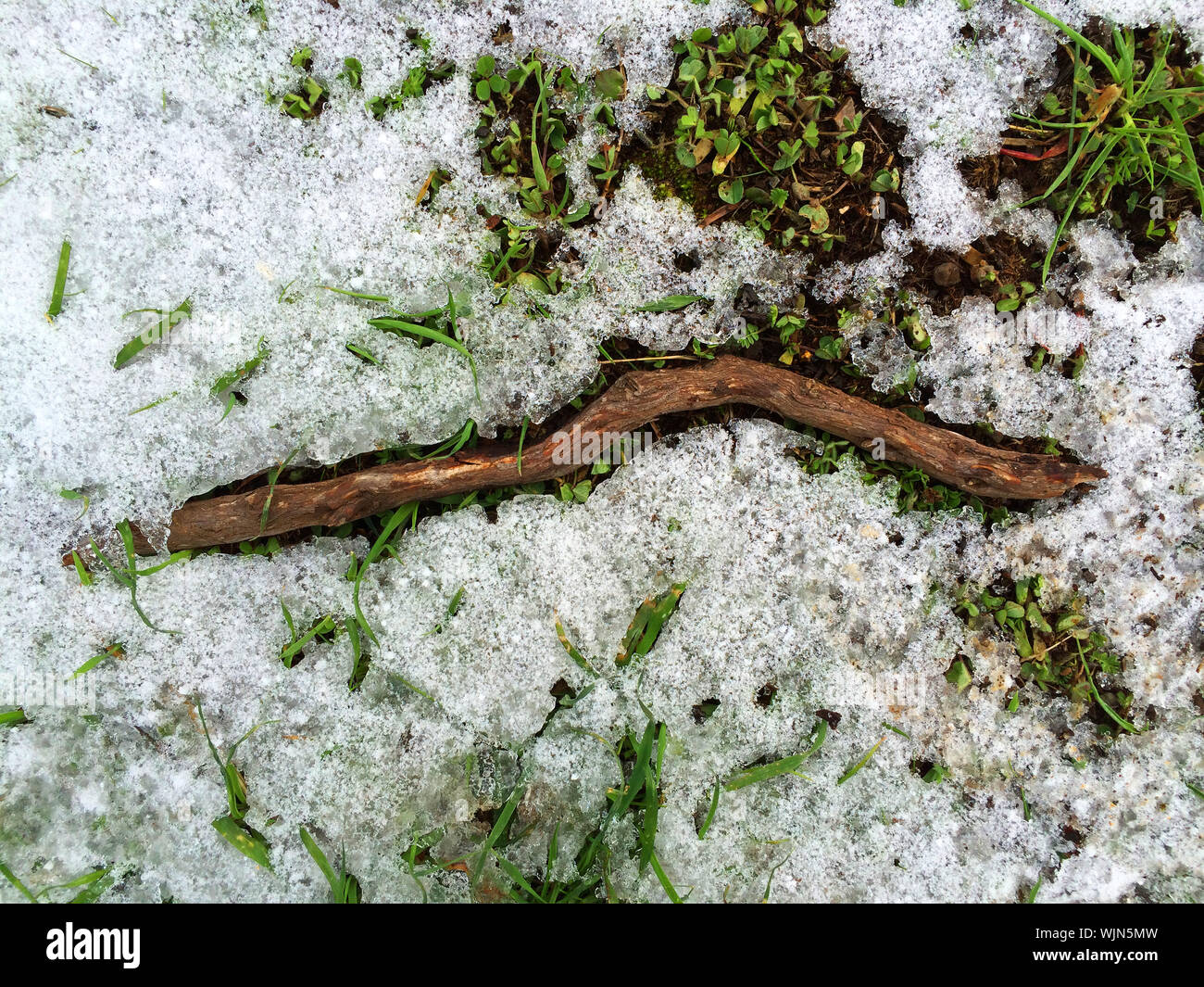Ground up view hi-res stock photography and images - Alamy