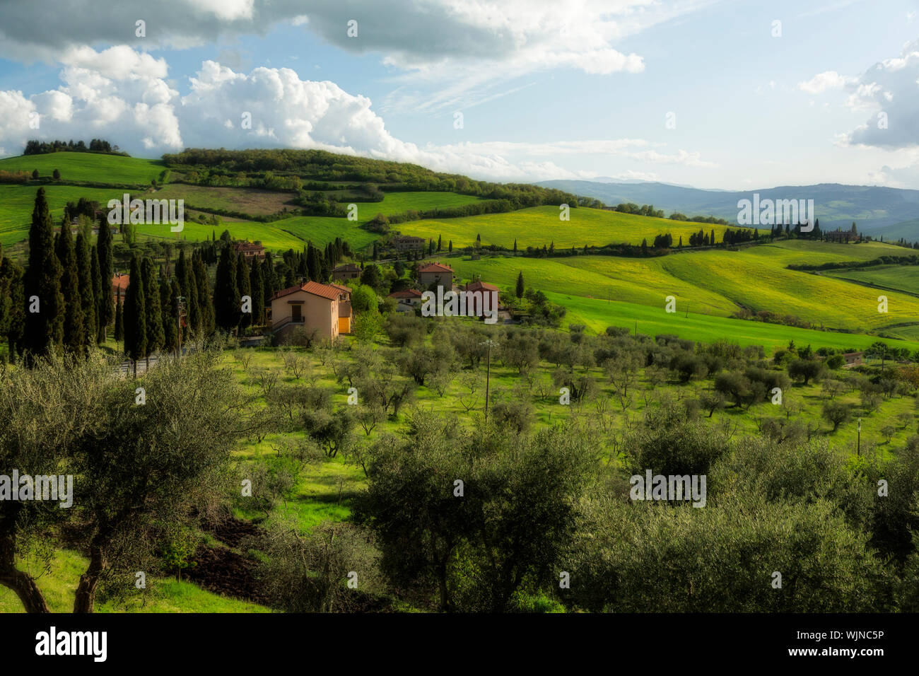 Rolling grass fields in italy hi-res stock photography and images - Alamy