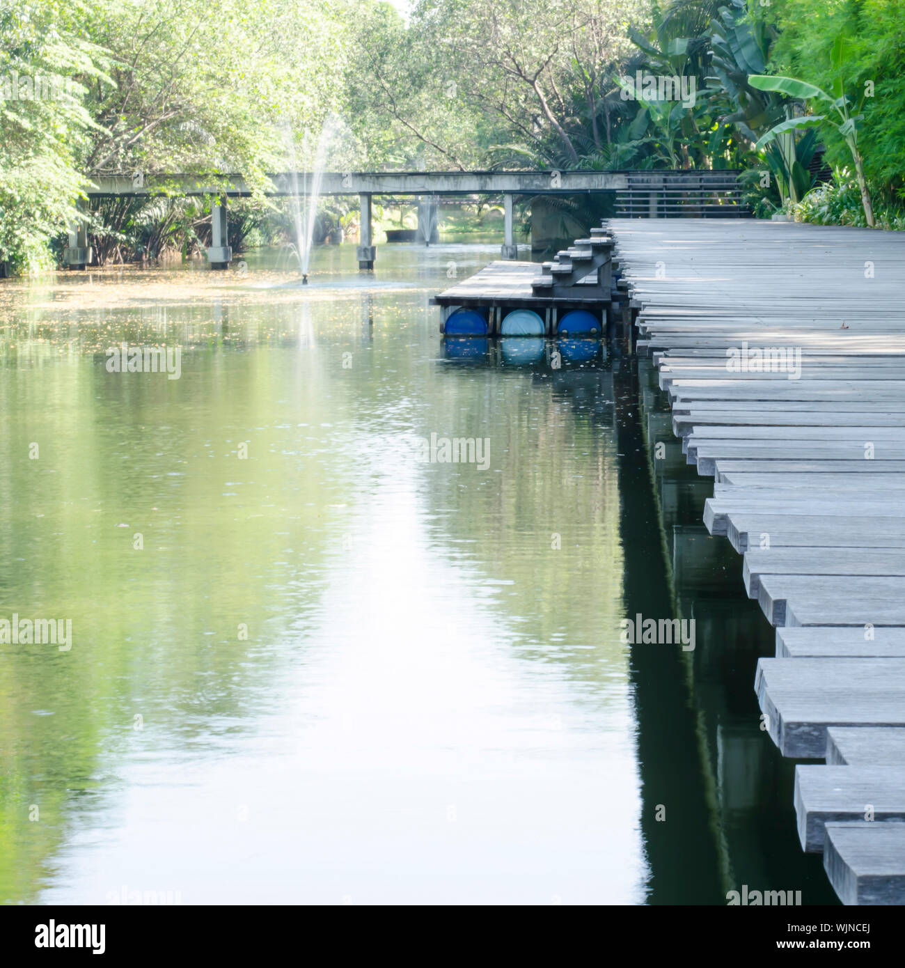 nature way in small forest with canal Stock Photo - Alamy