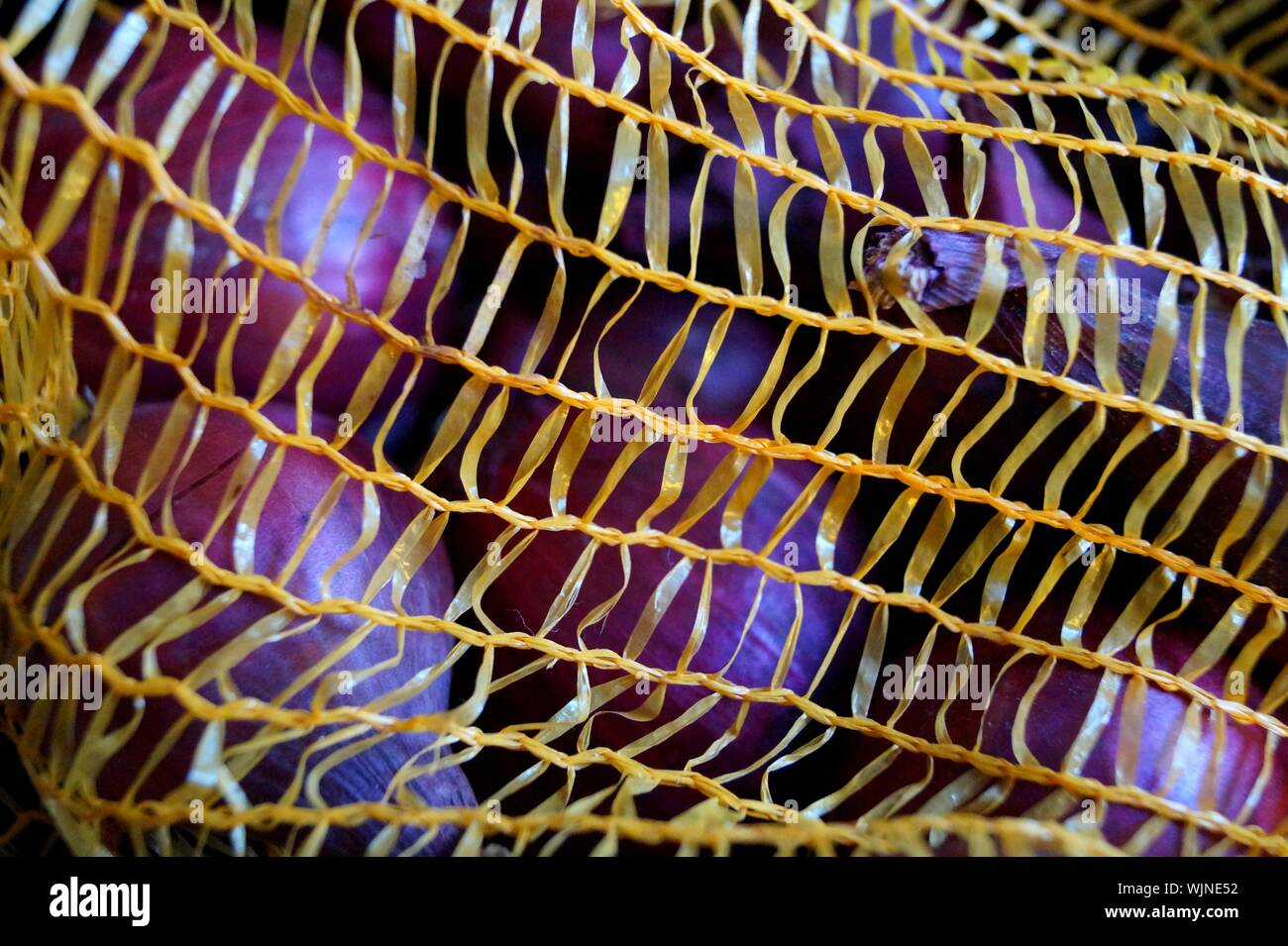 Onions in netting hi-res stock photography and images - Alamy