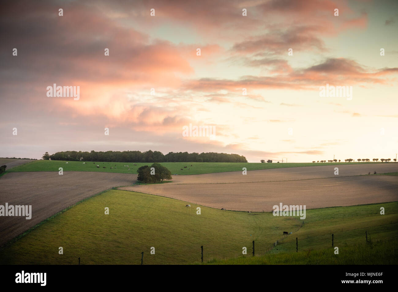 Rolling english countryside hi-res stock photography and images - Alamy