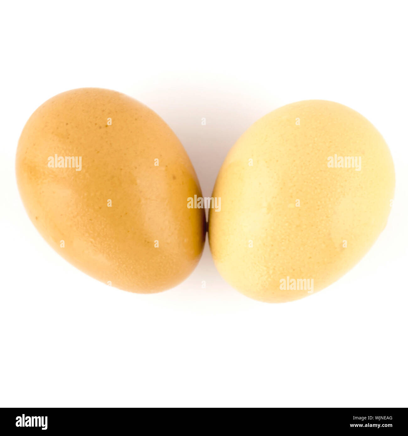 two eggs isolated on white background Stock Photo - Alamy