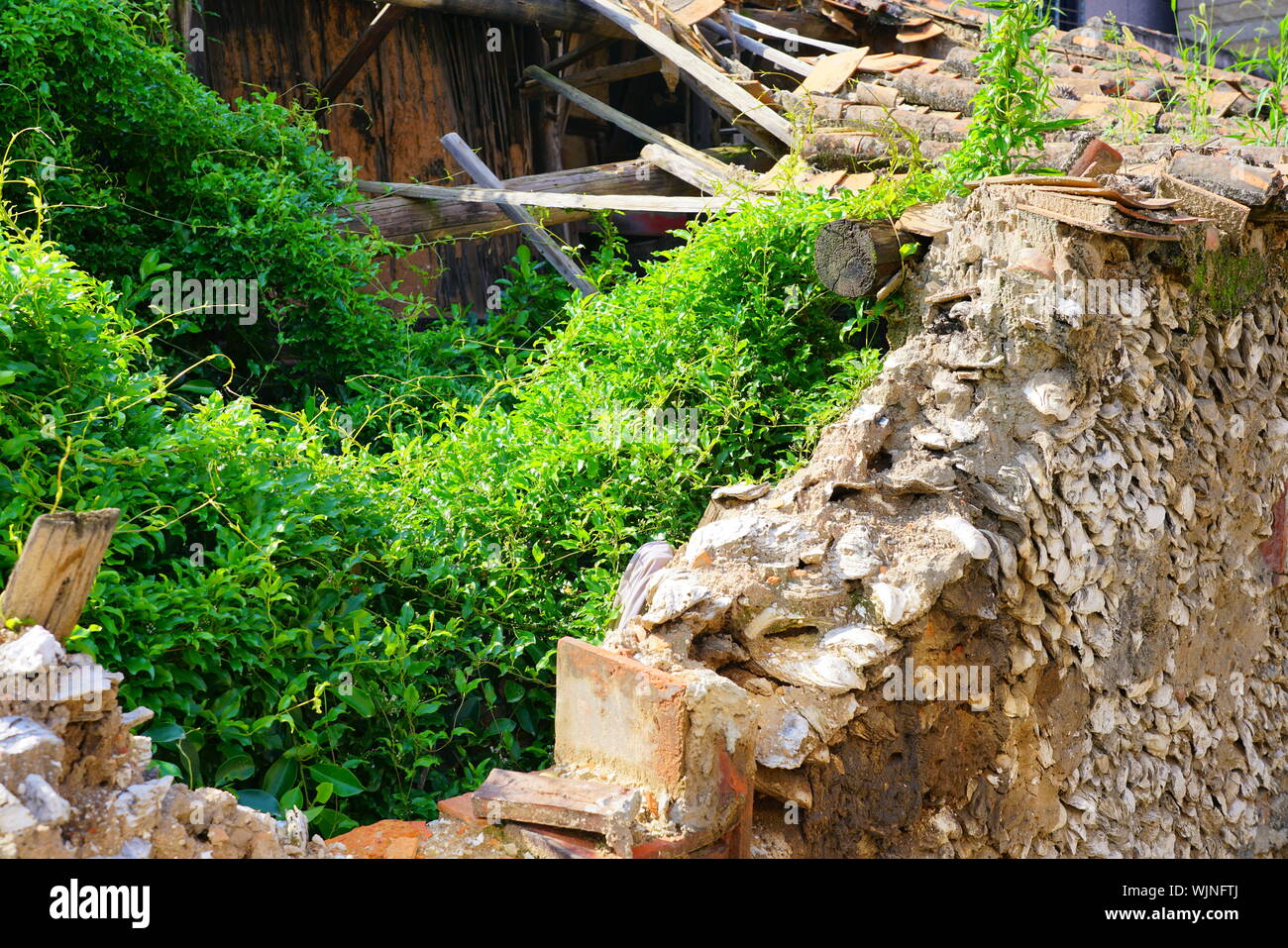 View of a traditional cultural relic house made of oyster shells ...