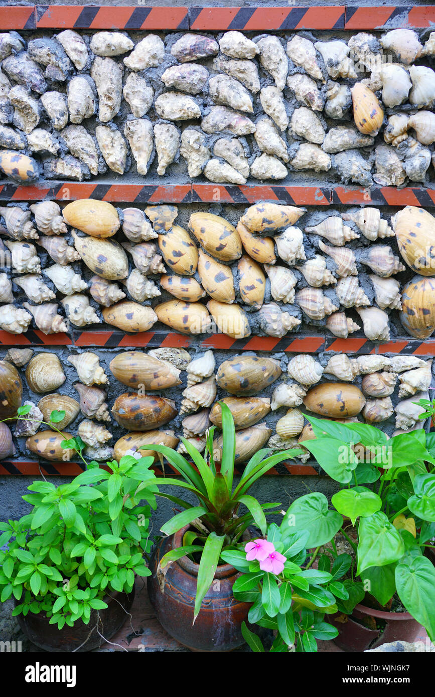 View of a traditional cultural relic house made of oyster shells ...