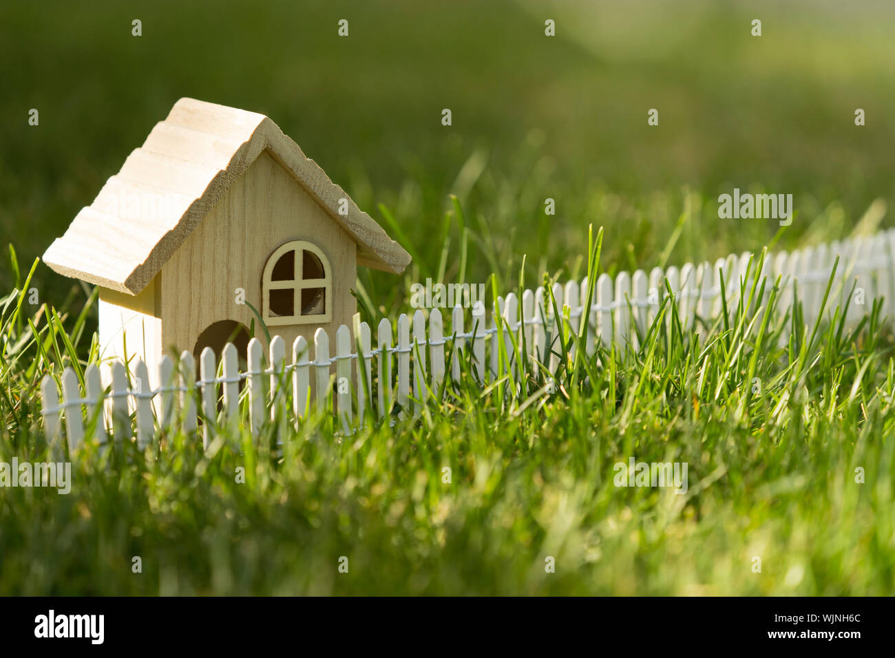 Little house on grass in sun light Stock Photo - Alamy