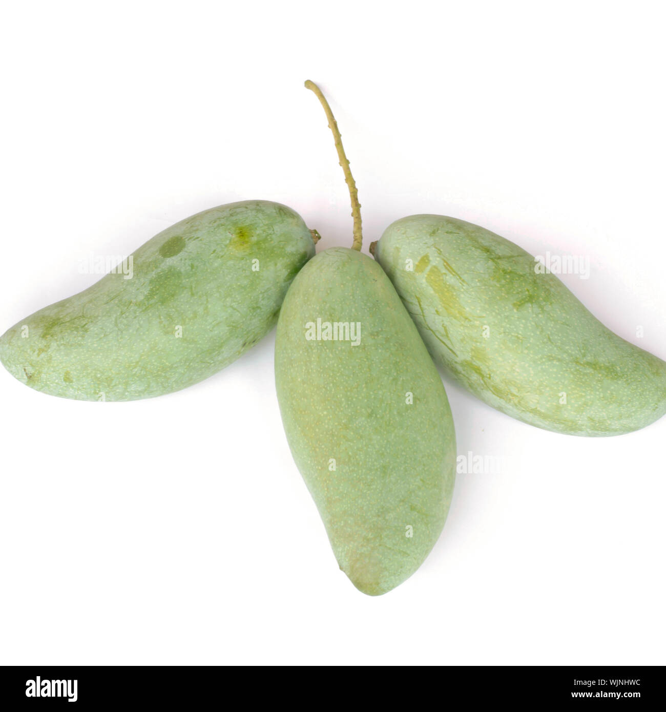 Full mango tree Cut Out Stock Images & Pictures - Alamy