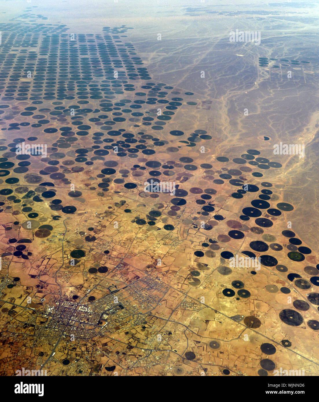 Aerial view of circular agriculture fields in the Arabian desert in the ...