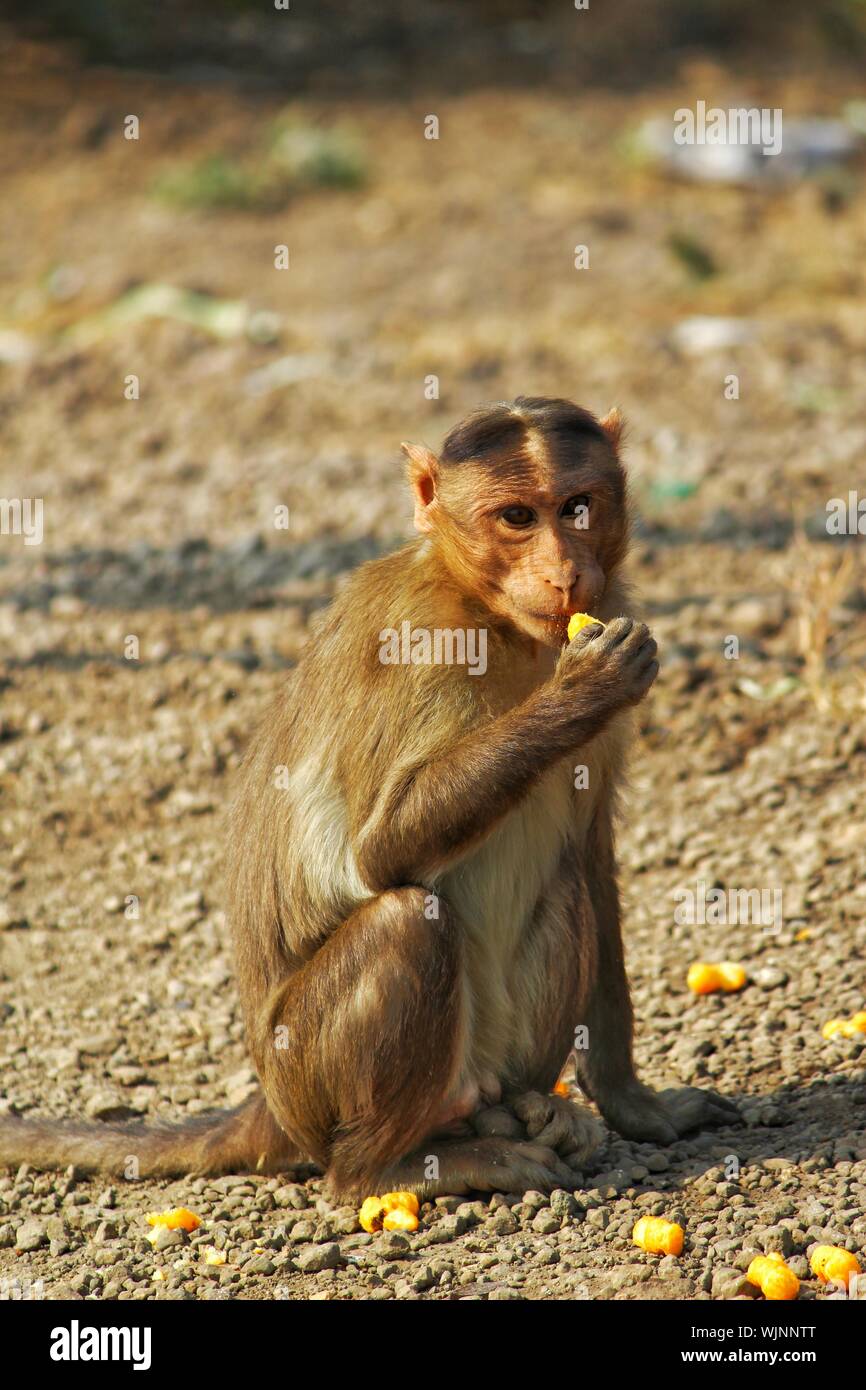 Sitting eating outdoors hi-res stock photography and images - Alamy