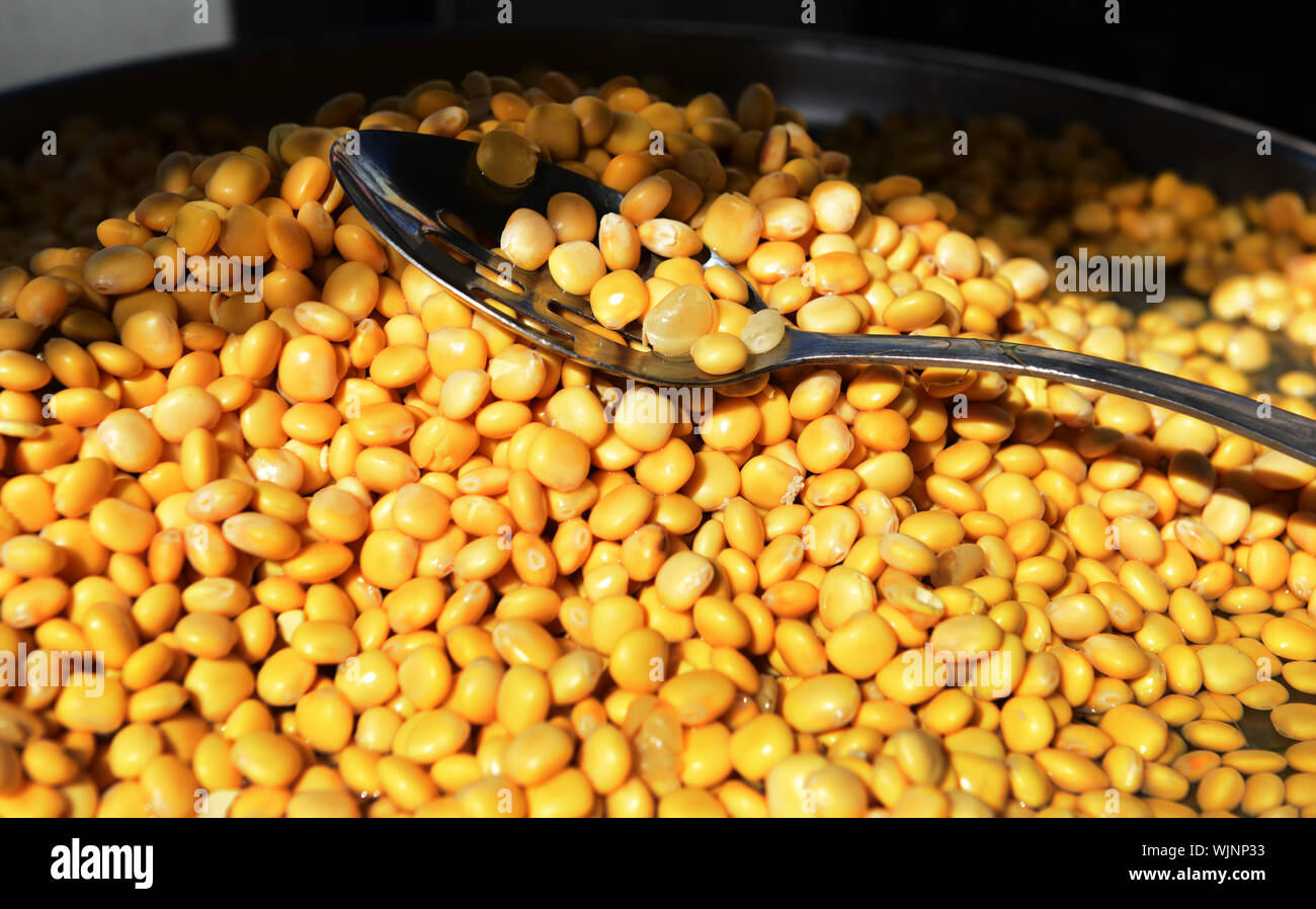 Turmus beans ( Lupini beans Stock Photo - Alamy