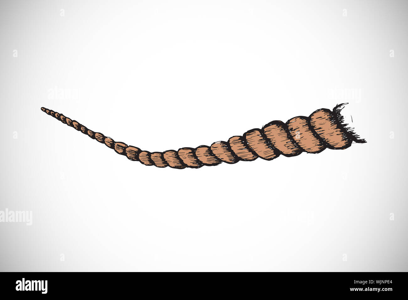 Rope doodle against white background with vignette Stock Photo - Alamy