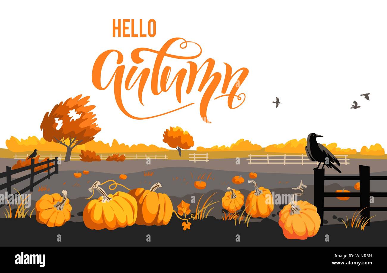 Fall countryside scenery. Rural illustration with pumpkins, crows and ...