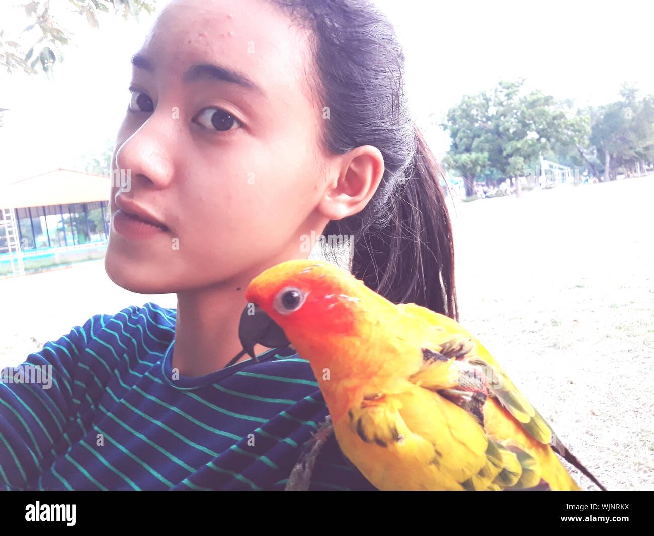 Teenage bird portrait hi-res stock photography and images - Alamy