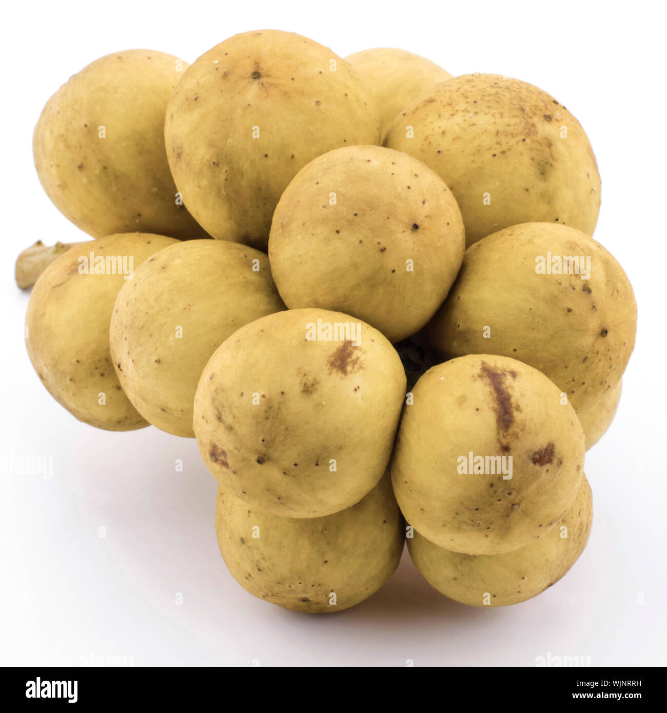 Lansium domesticum isolated on white background Stock Photo - Alamy