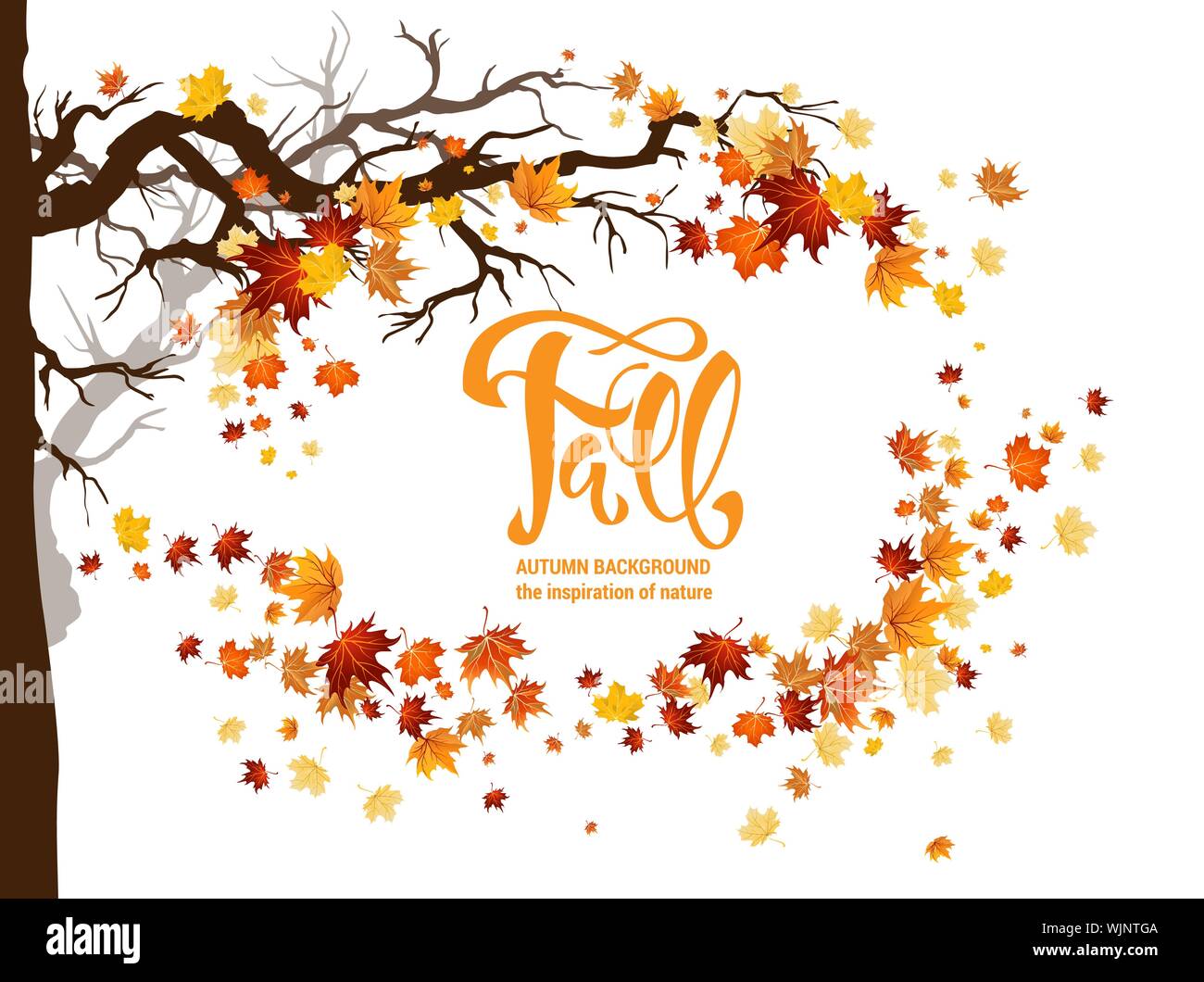 Orange autumn leaves and branches frame. Nature design background. Fall ...