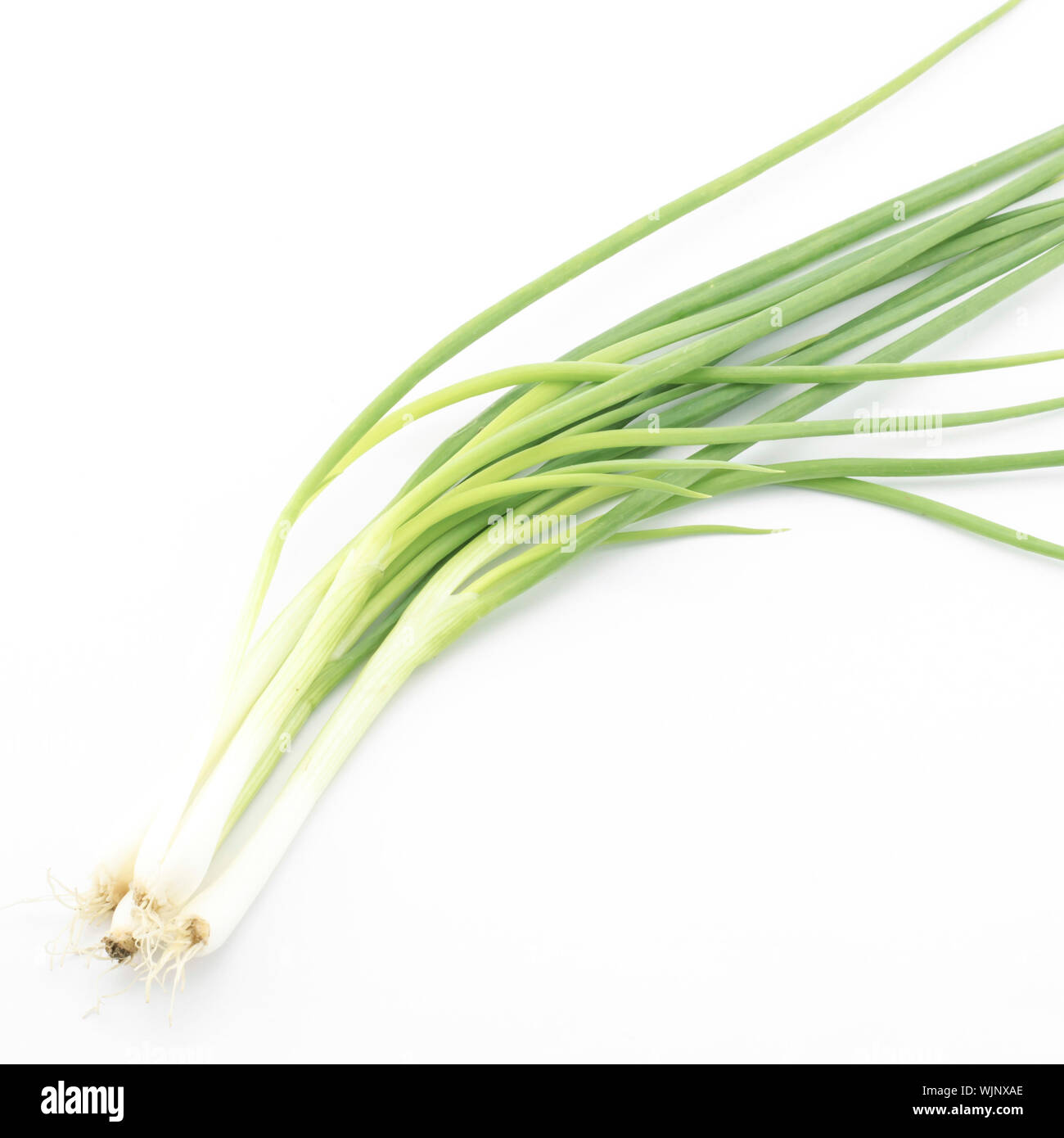 spring onion isolated on white background Stock Photo - Alamy