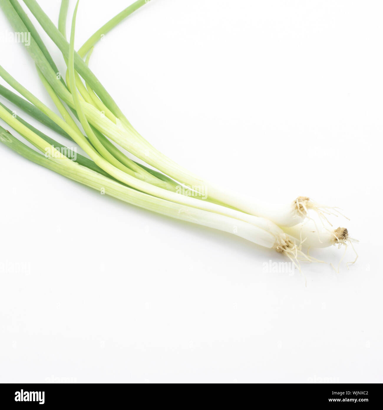 spring onion isolated on white background Stock Photo - Alamy