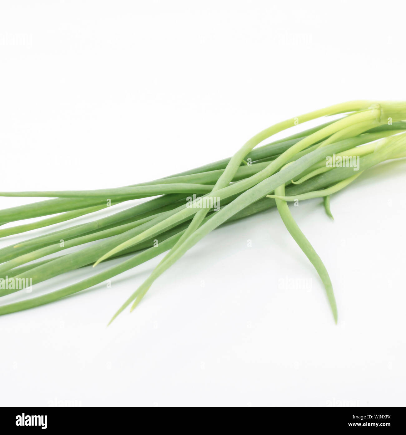 spring onion isolated on white background Stock Photo - Alamy