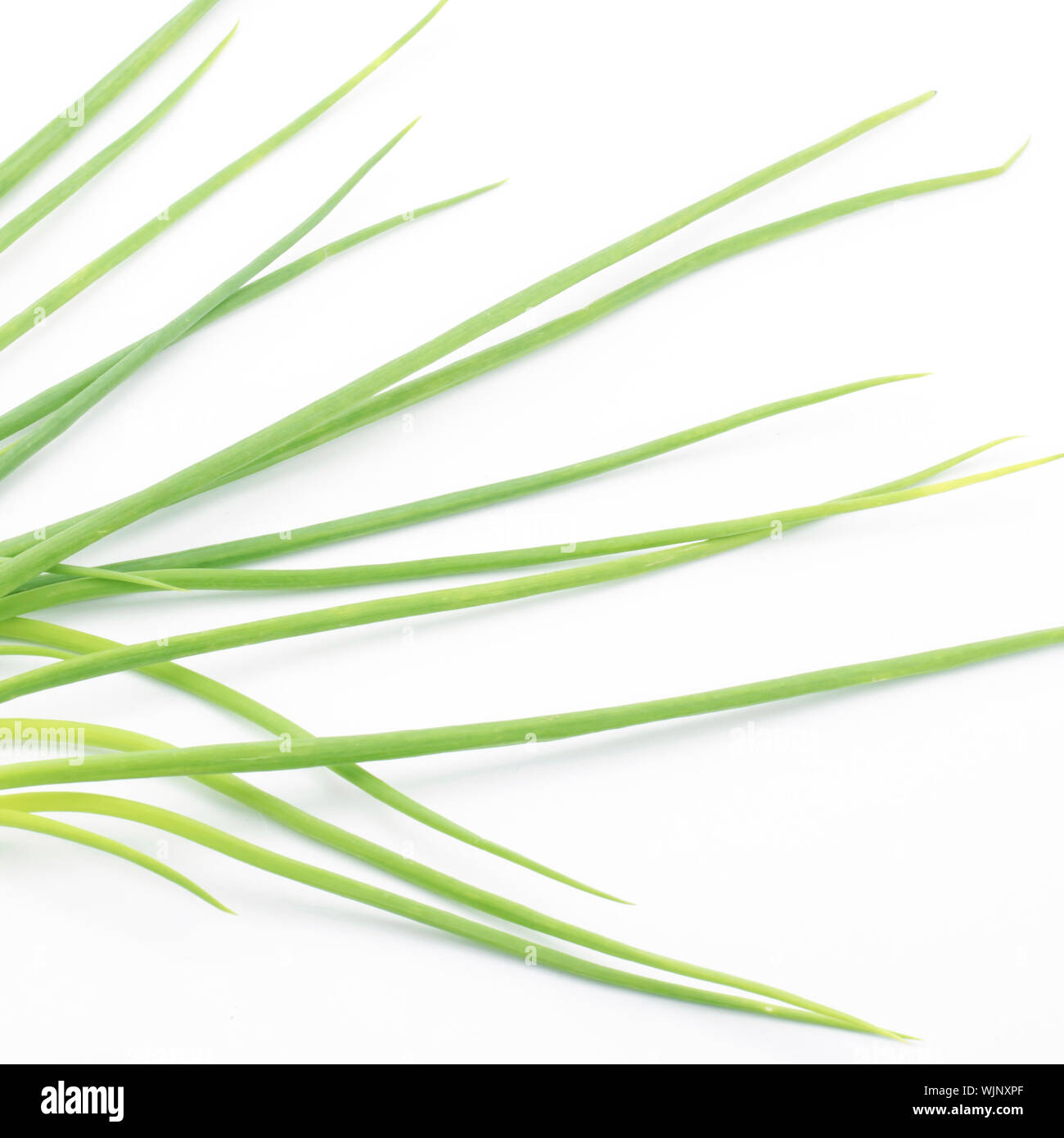 spring onion isolated on white background Stock Photo - Alamy