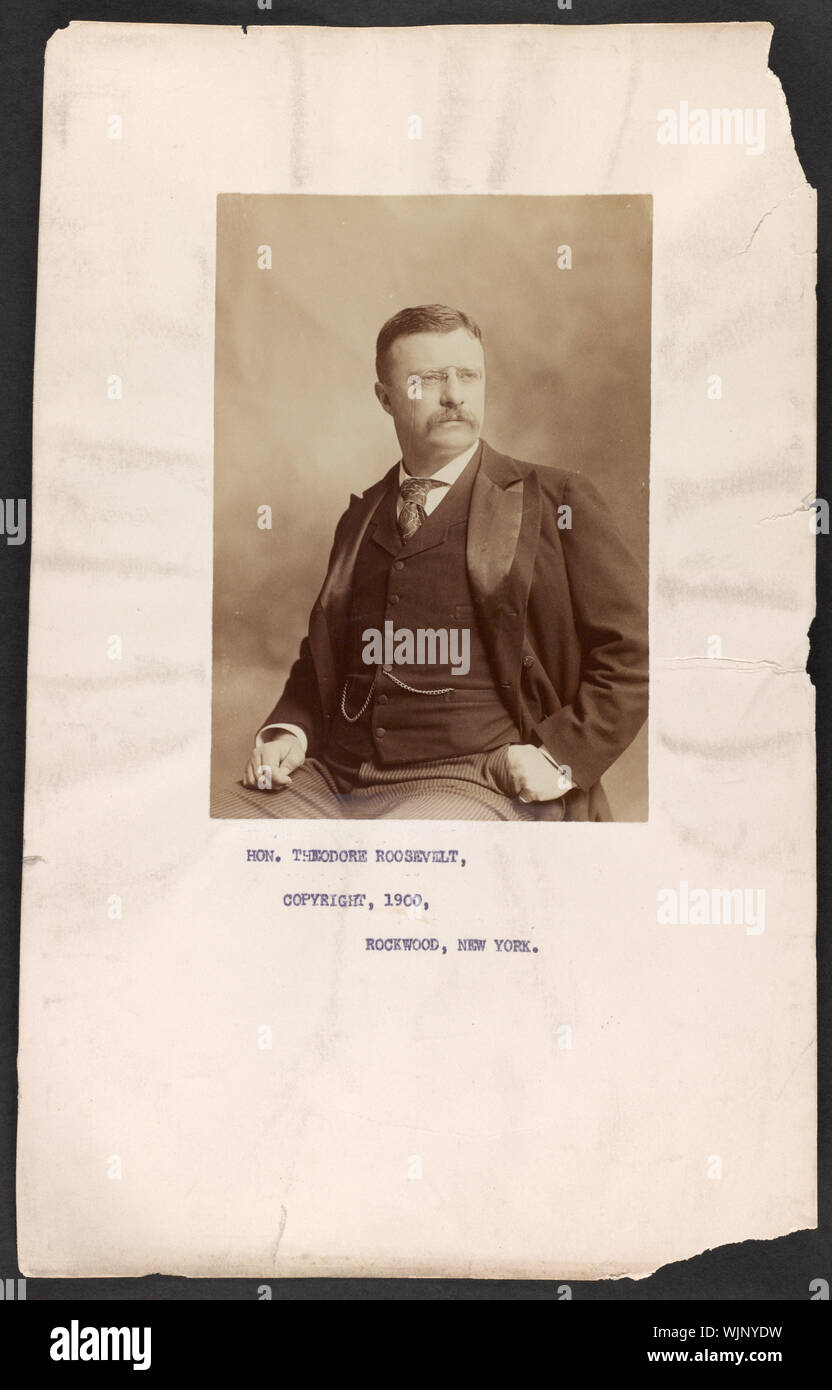 Hon. Theodore Roosevelt, three-quarter length portrait, seated, facing ...