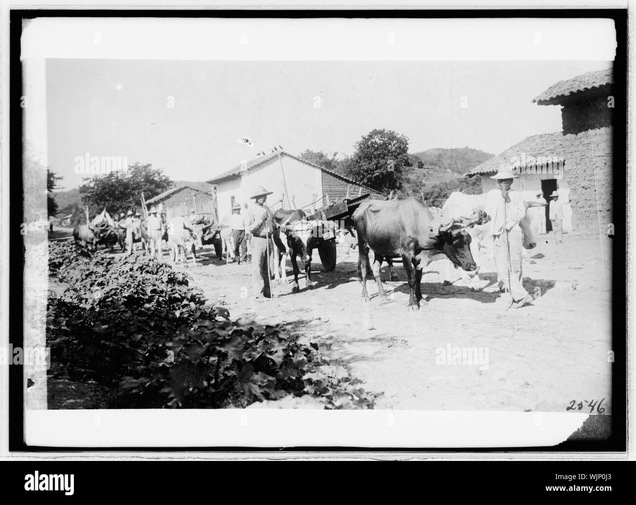 Tegucigalpa rural tourism hi-res stock photography and images - Alamy