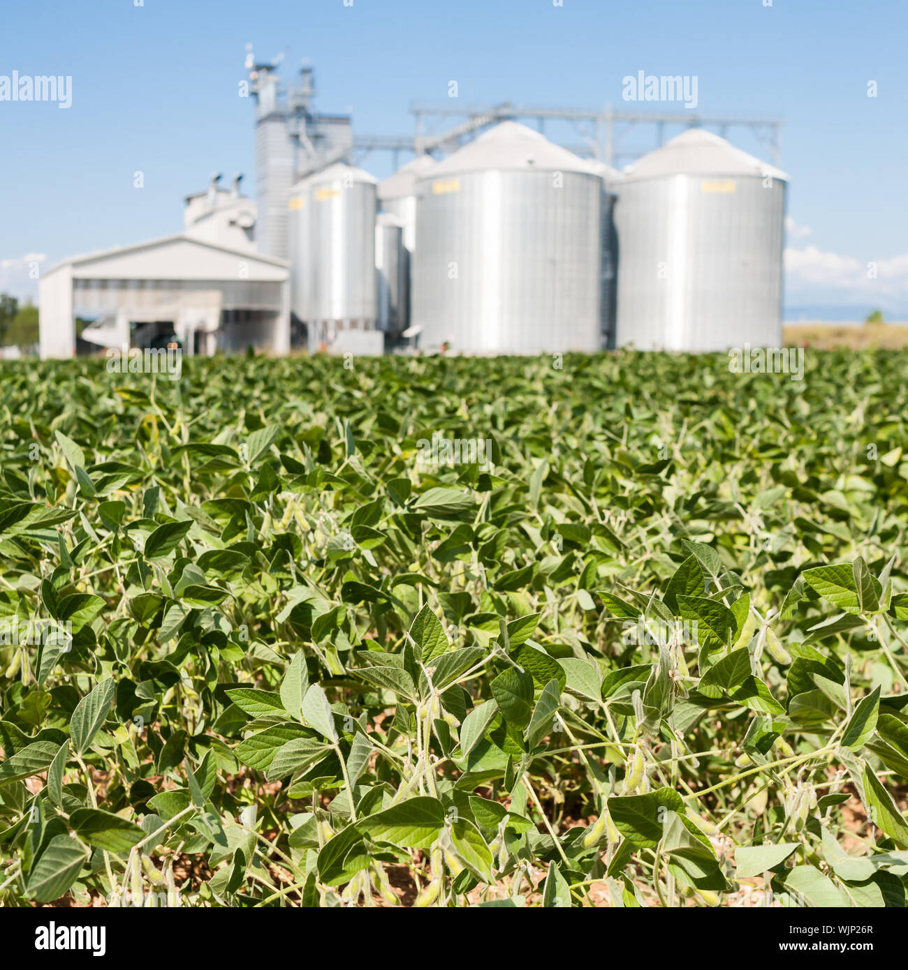 Growing crops industry High Resolution Stock Photography and Images - Alamy