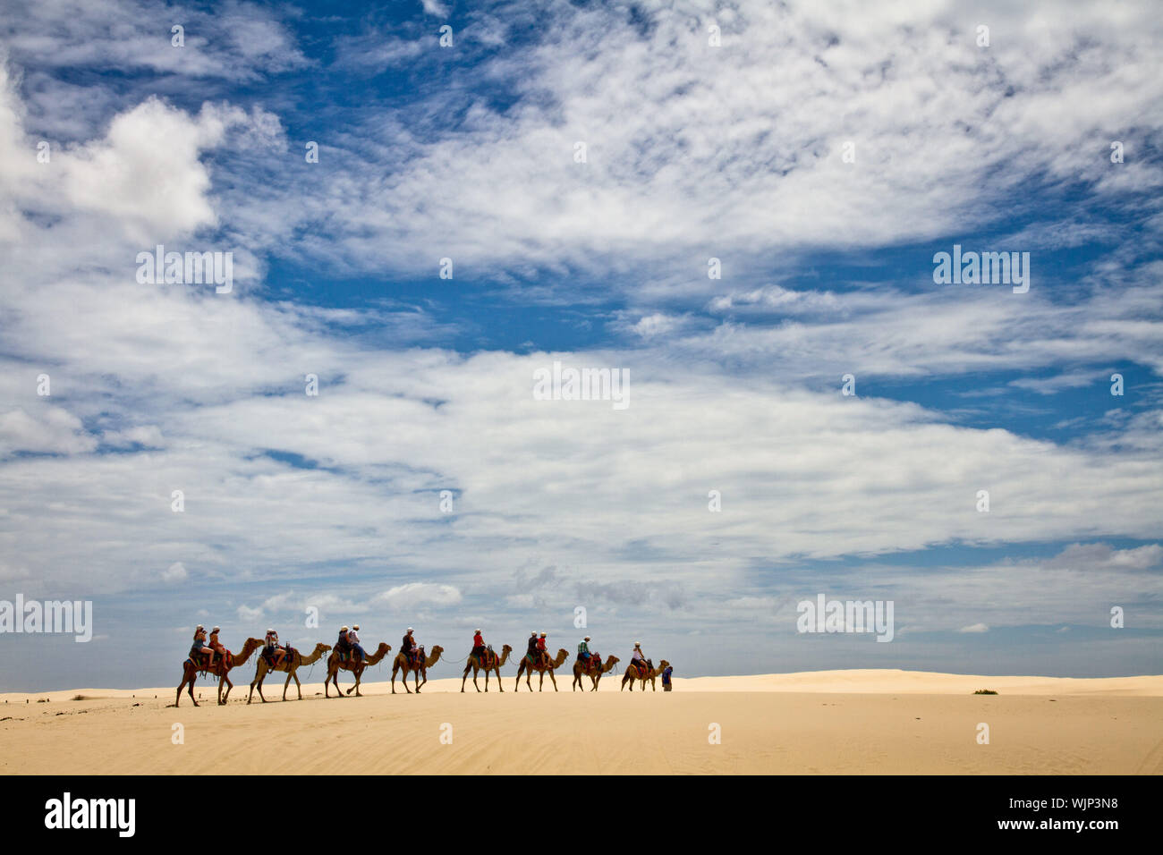 Riding camel at australia hi-res stock photography and images - Alamy