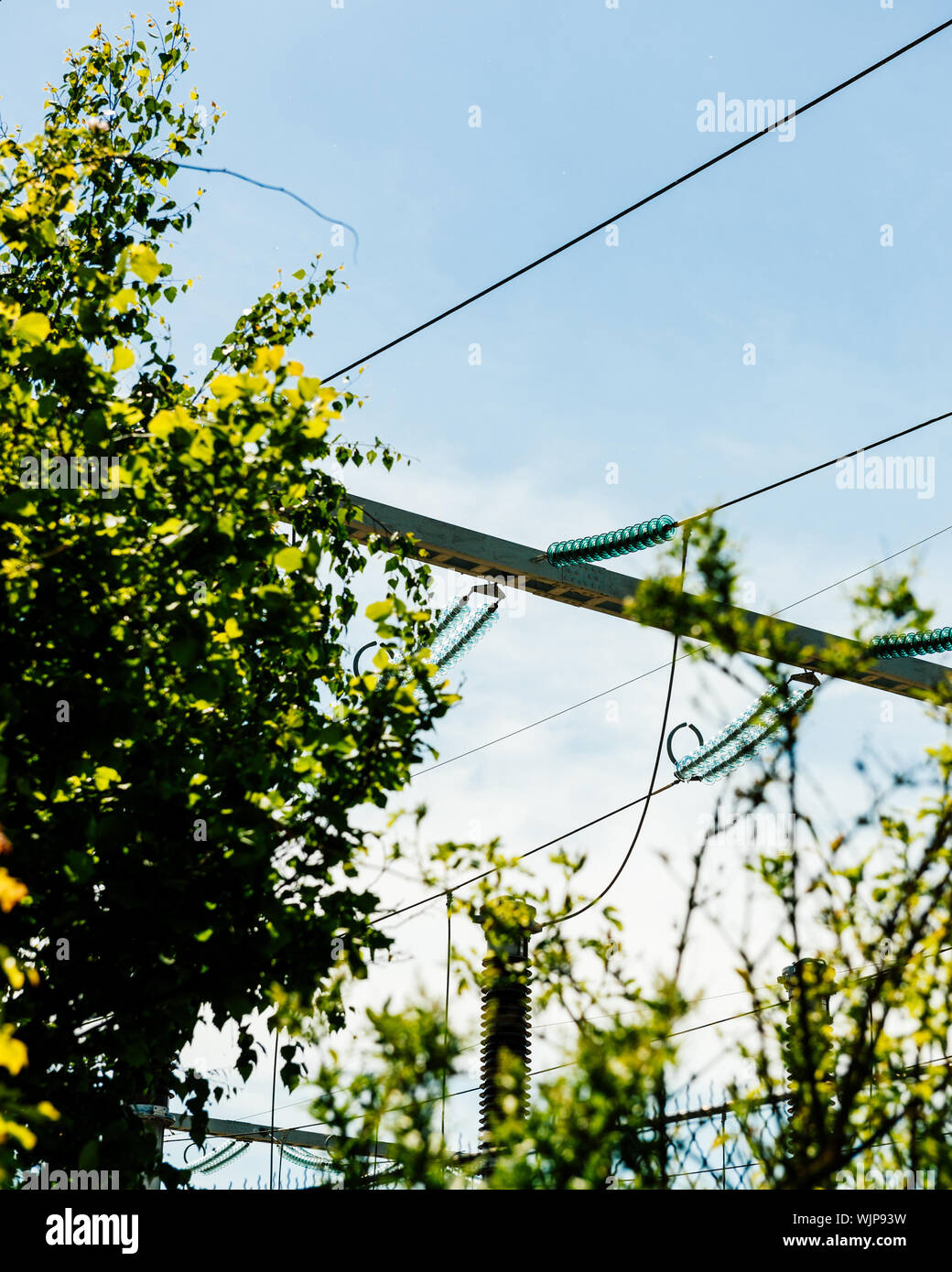 Low angle view of high voltage French power lines seen between trees at ...