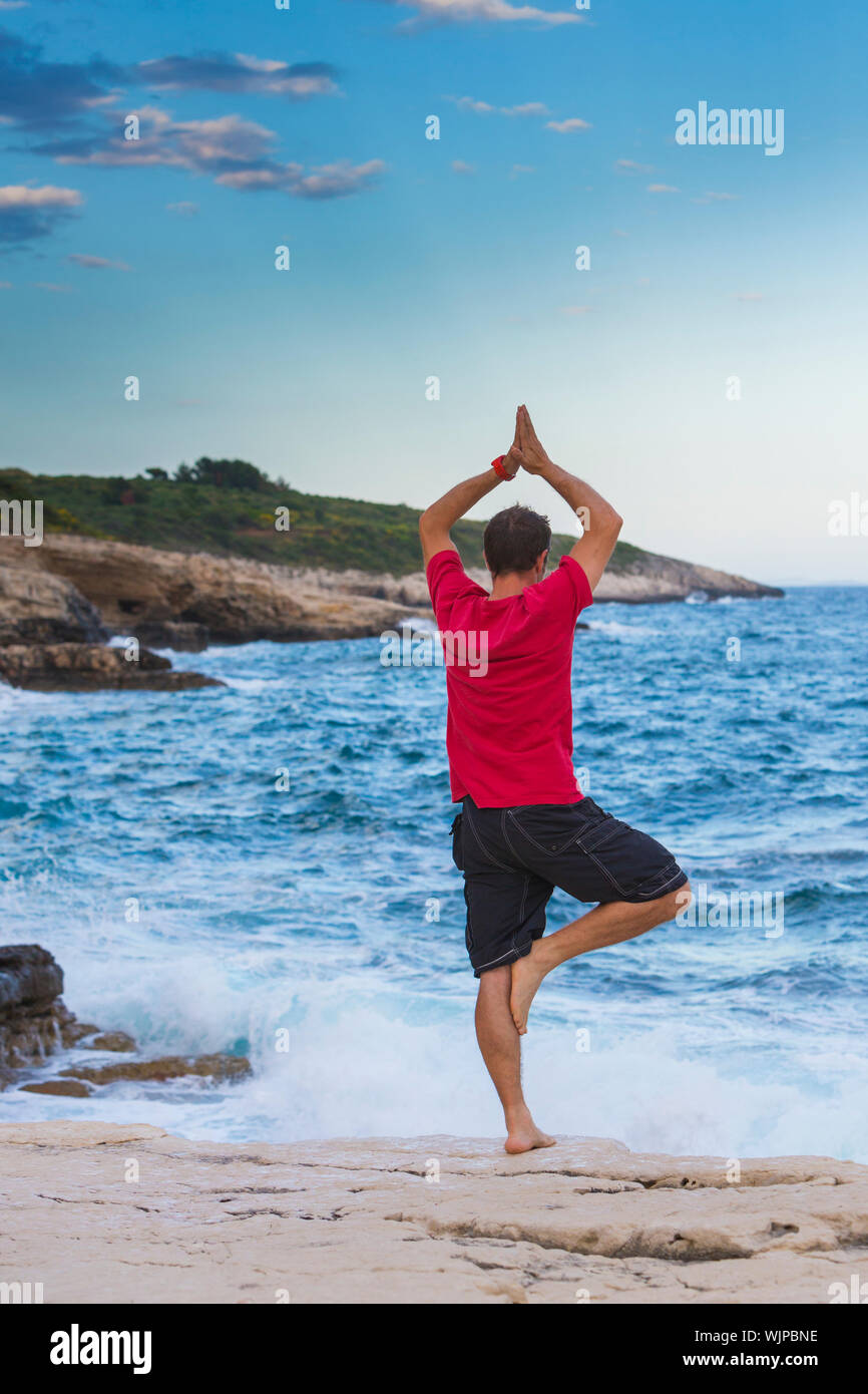 Yoga tree pose man hi-res stock photography and images - Alamy