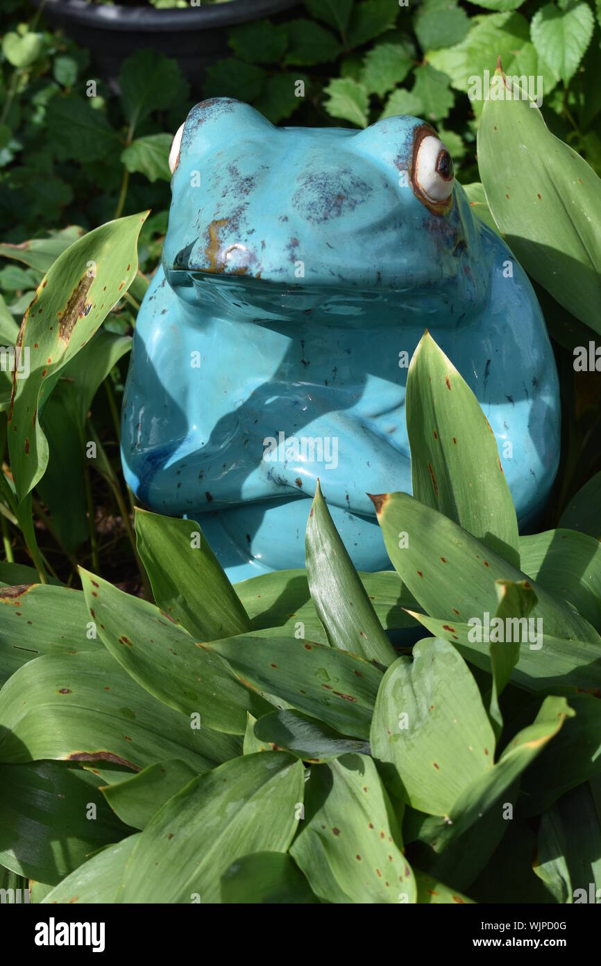 sitting frog statue in garden Stock Photo - Alamy