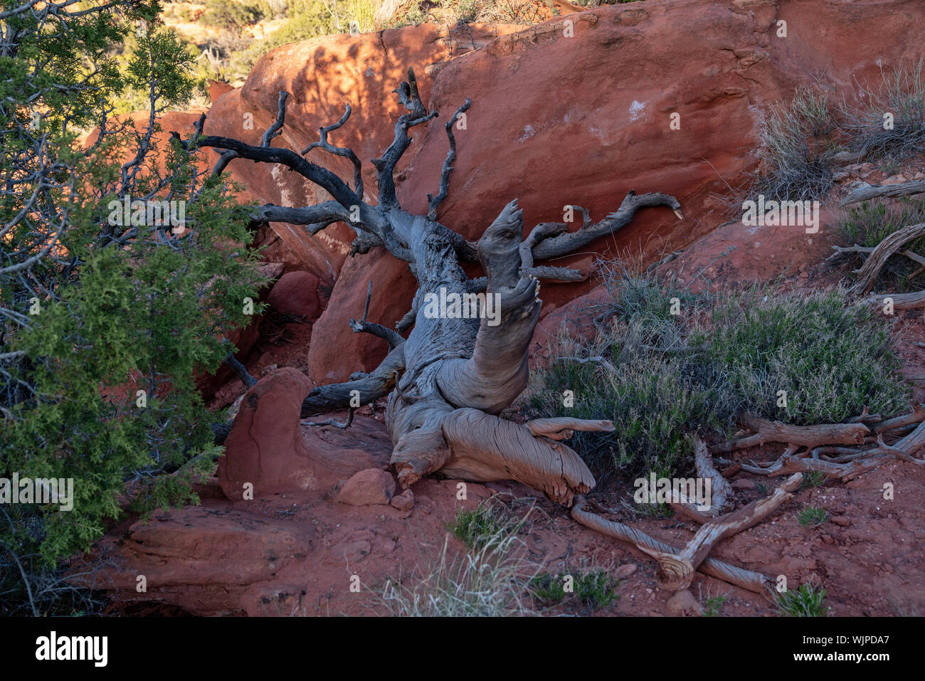 Red sandstone hills cliffs rocks hi-res stock photography and images ...