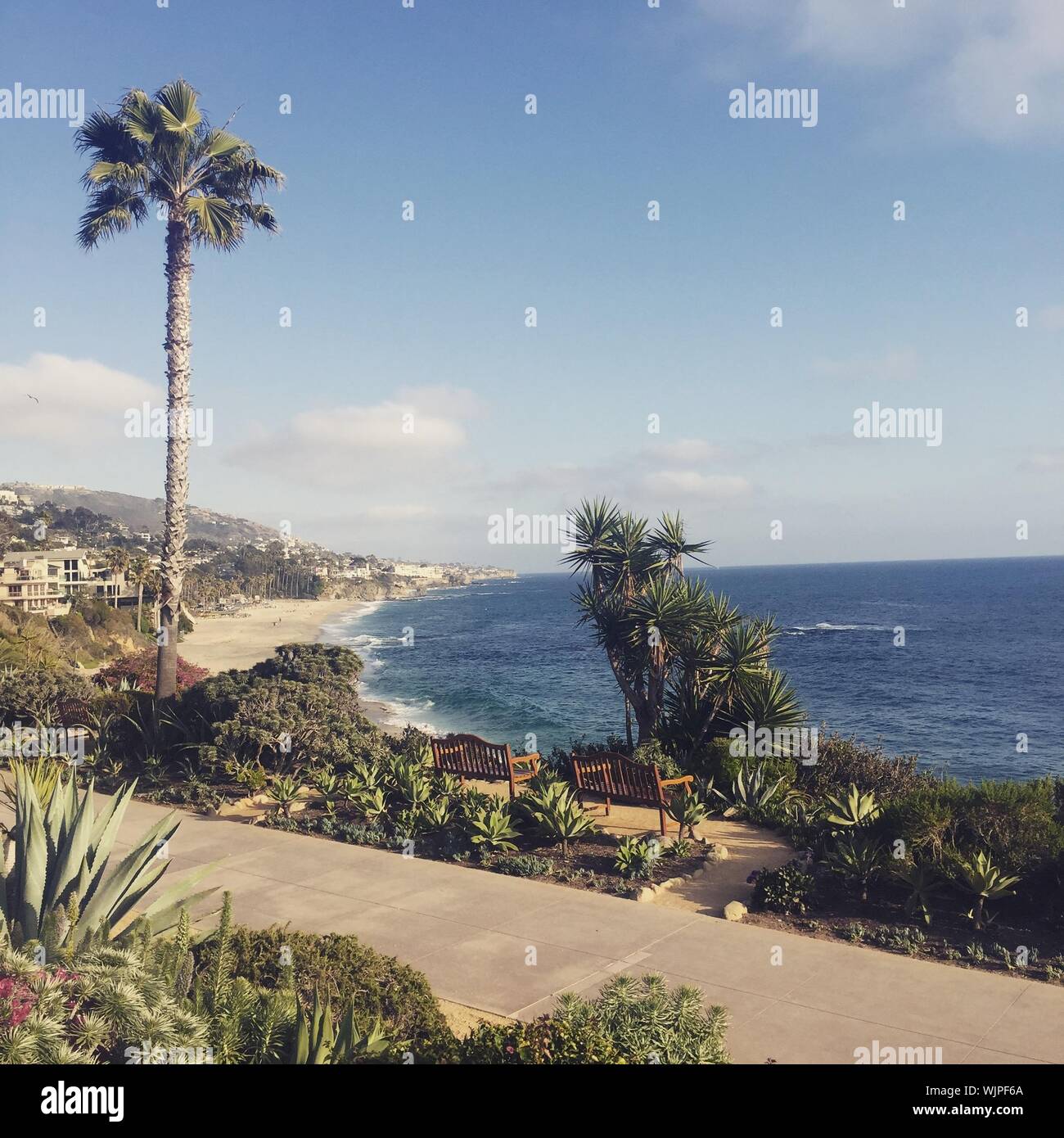 Walkway under trees hi-res stock photography and images - Alamy