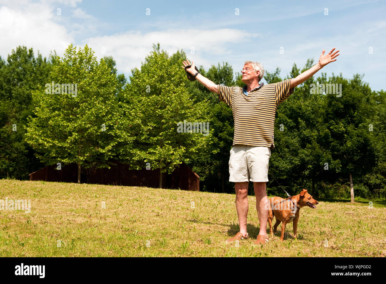 Elderly man with his cross breed dog outdoor hi-res stock photography ...