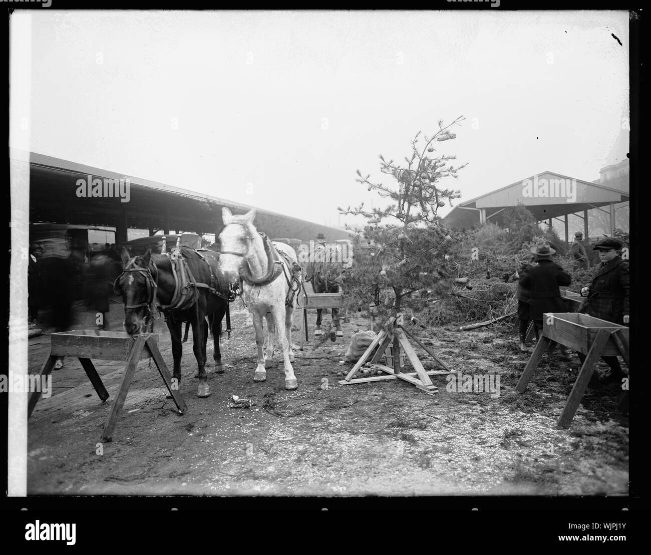 Christmas tree ornaments decorations Black and White Stock Photos ...