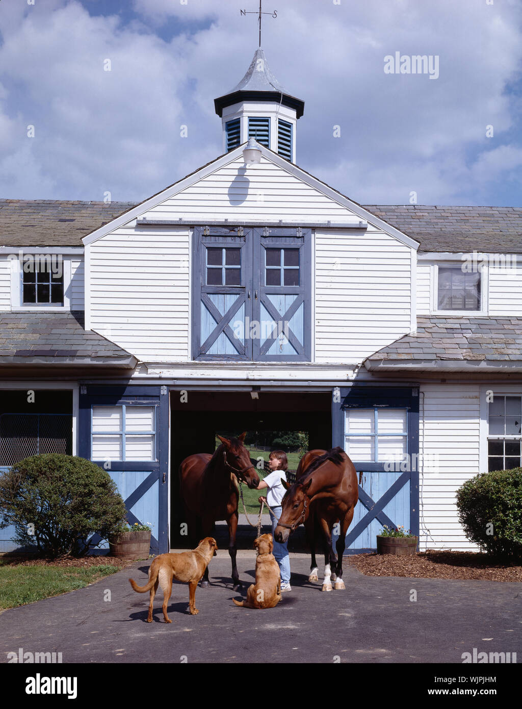 Horse Country in The Plains, Virginia Stock Photo - Alamy