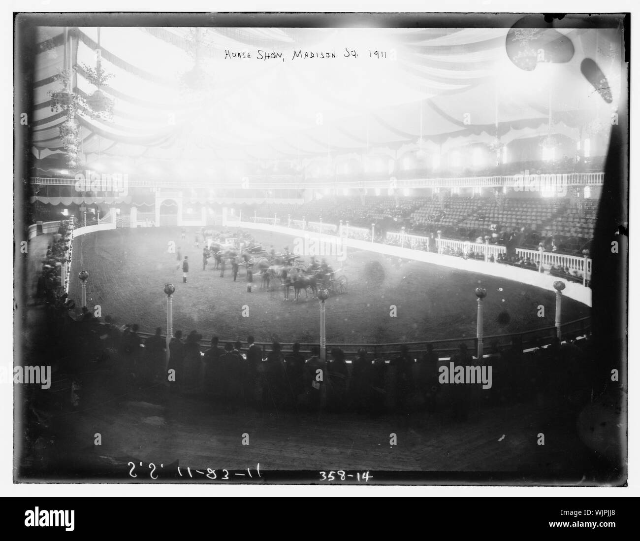 Horse performance photo Black and White Stock Photos & Images - Alamy