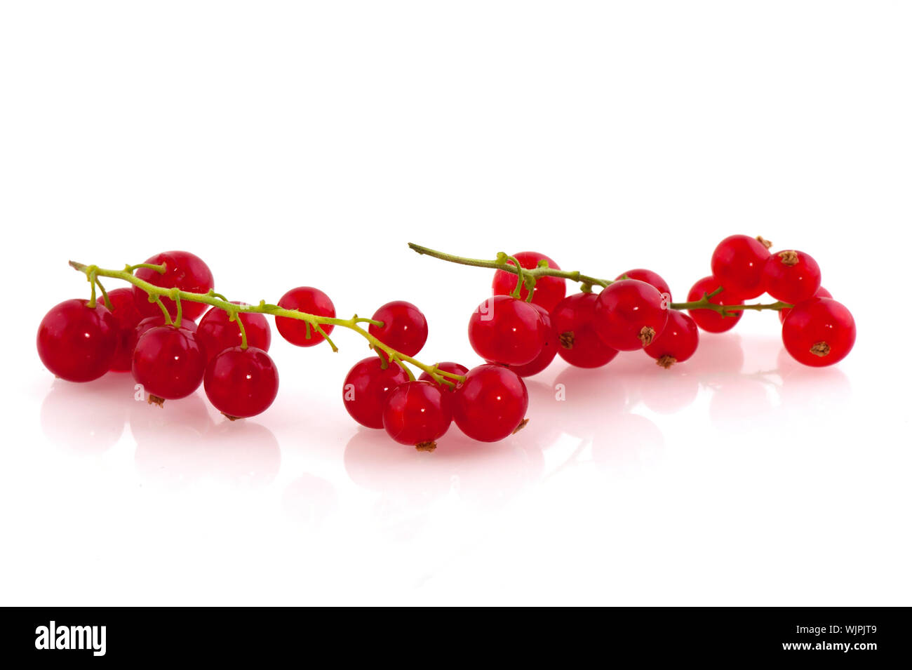 cluster red currants close isolated over white Stock Photo - Alamy