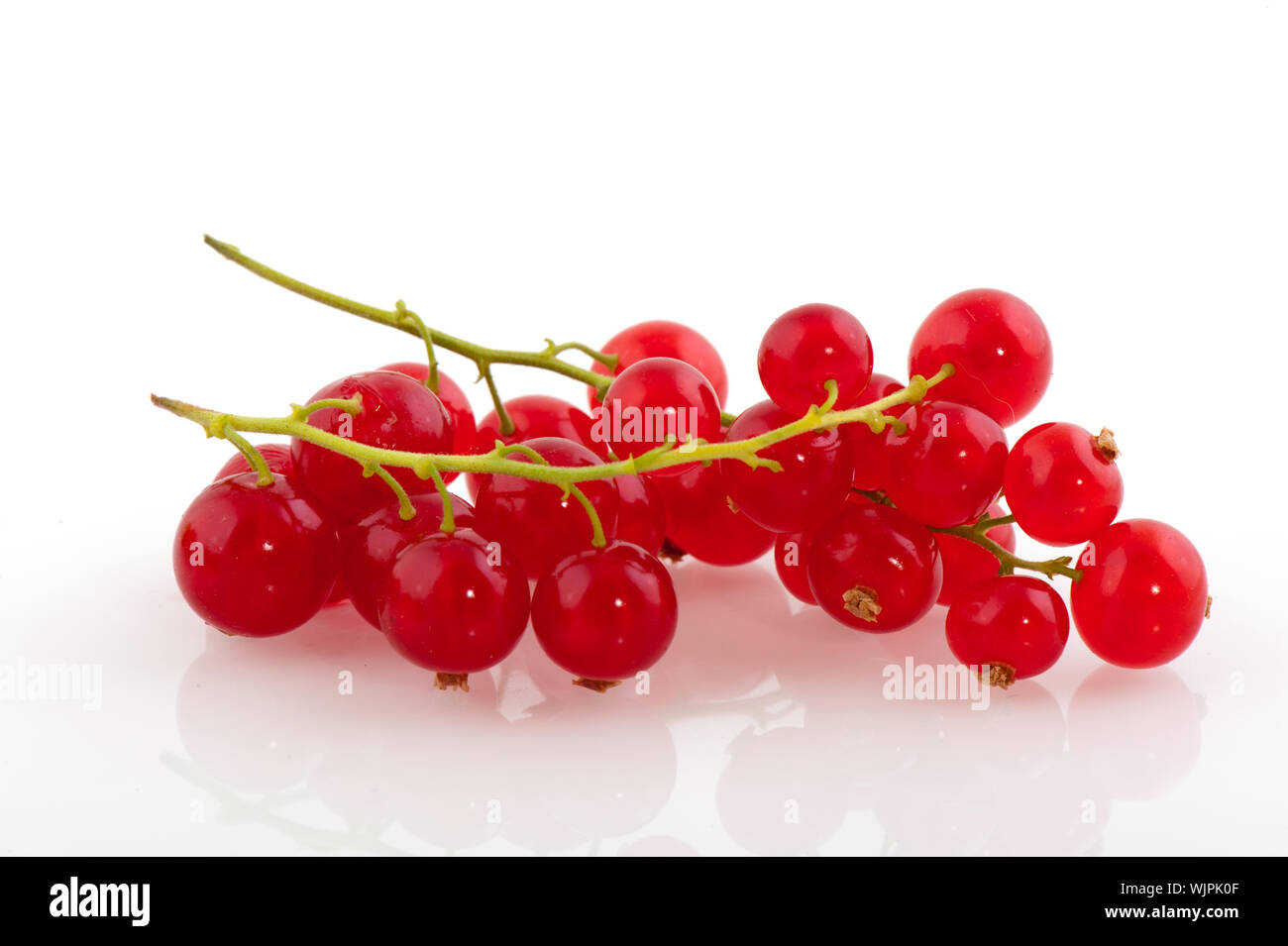 cluster red currants close isolated over white Stock Photo - Alamy