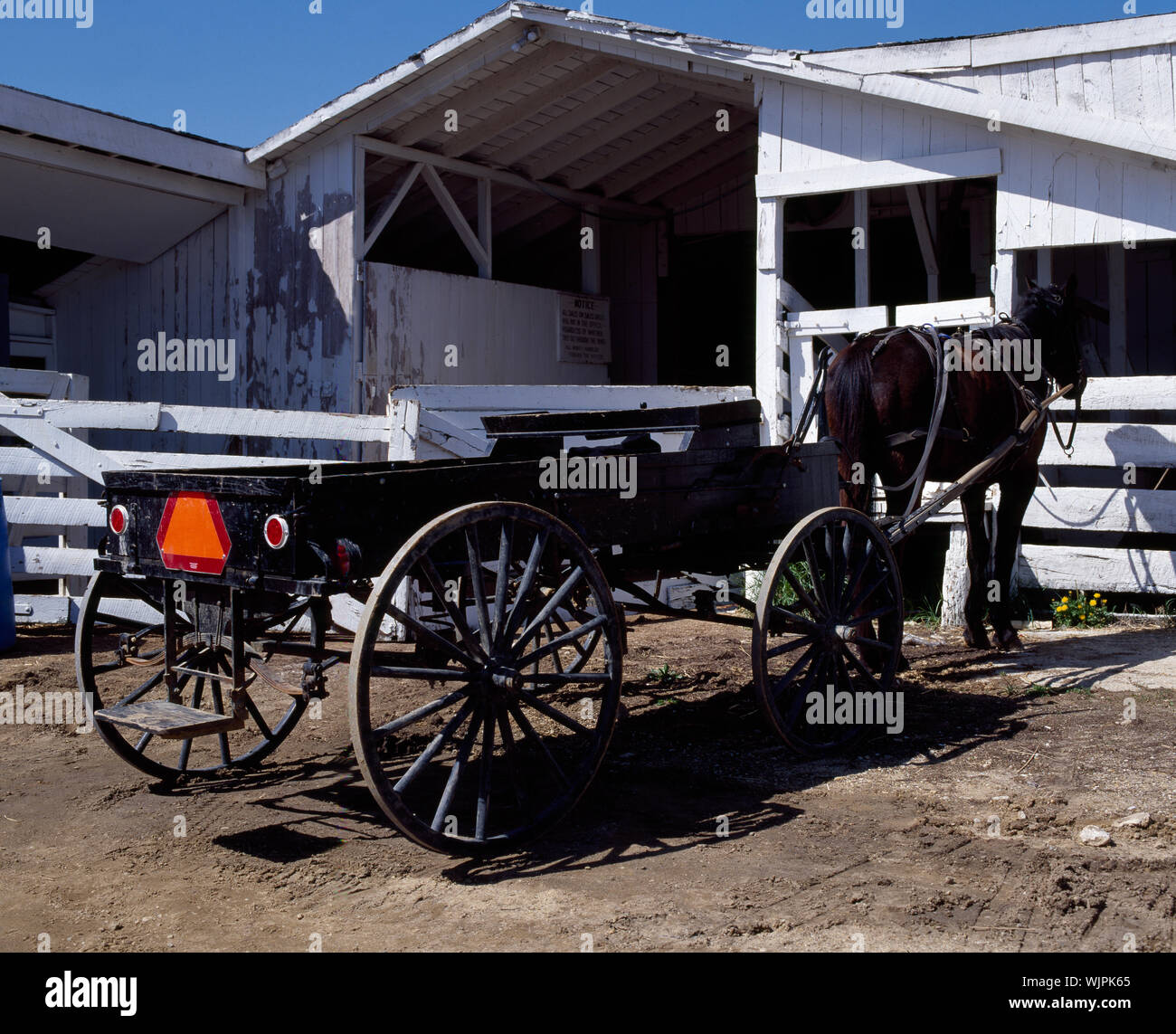 Horse and flatbed buggy in Amish Country, Lancaster County ...