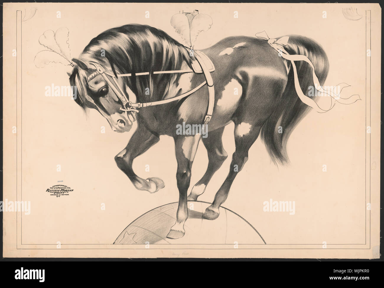 Horse balancing on sphere Stock Photo - Alamy