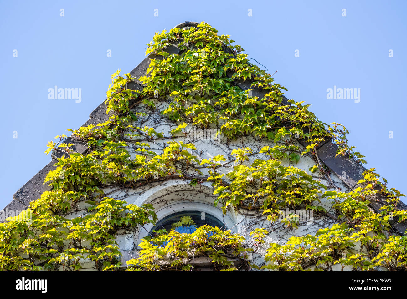 Creepers wall built structure hi-res stock photography and images - Alamy