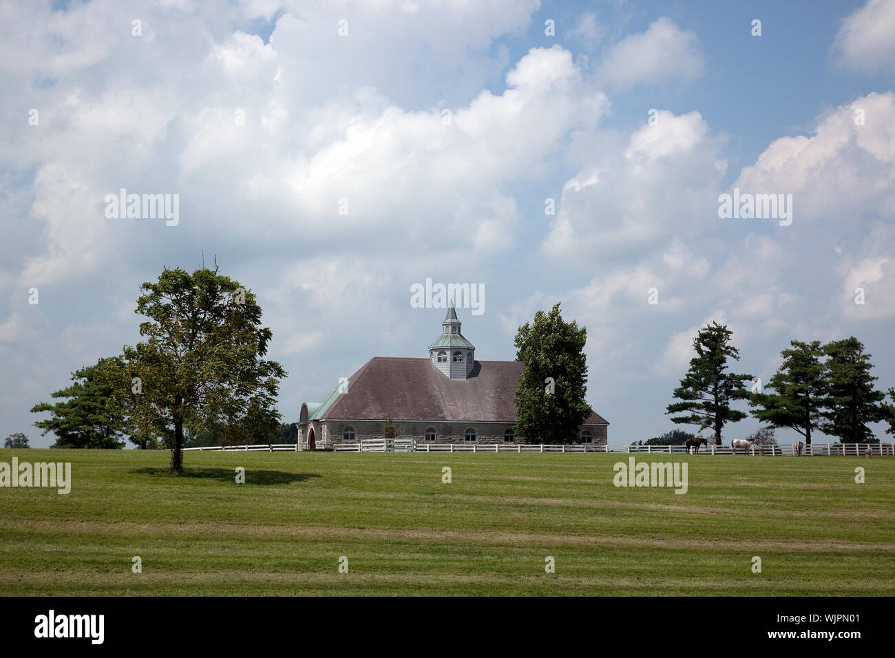 Horse farm, Lexington, Kentucky Stock Photo - Alamy