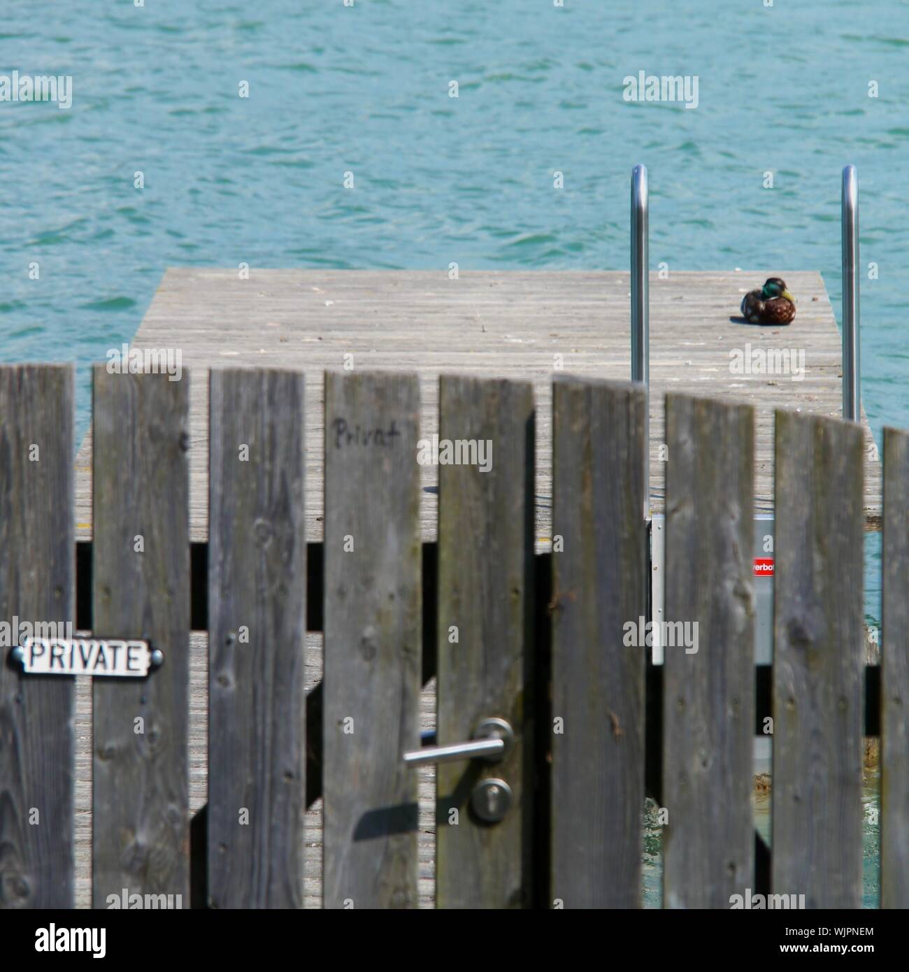 Wooden diving platform hi-res stock photography and images - Alamy