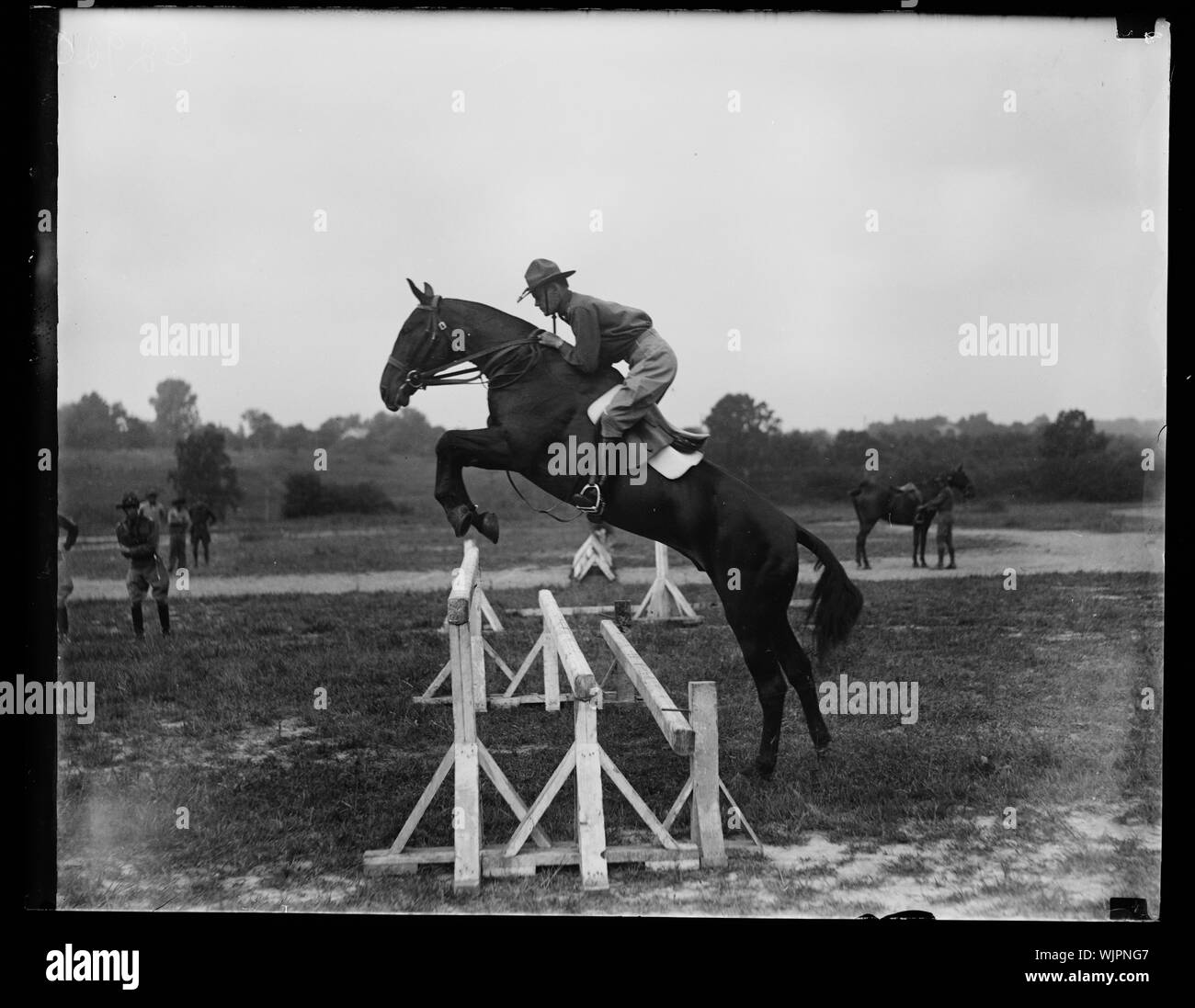 Horse training Black and White Stock Photos & Images - Alamy