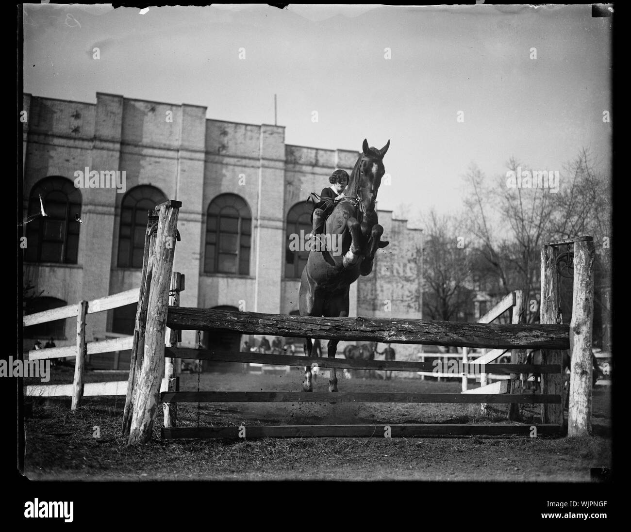 Show jump horse Black and White Stock Photos & Images - Alamy