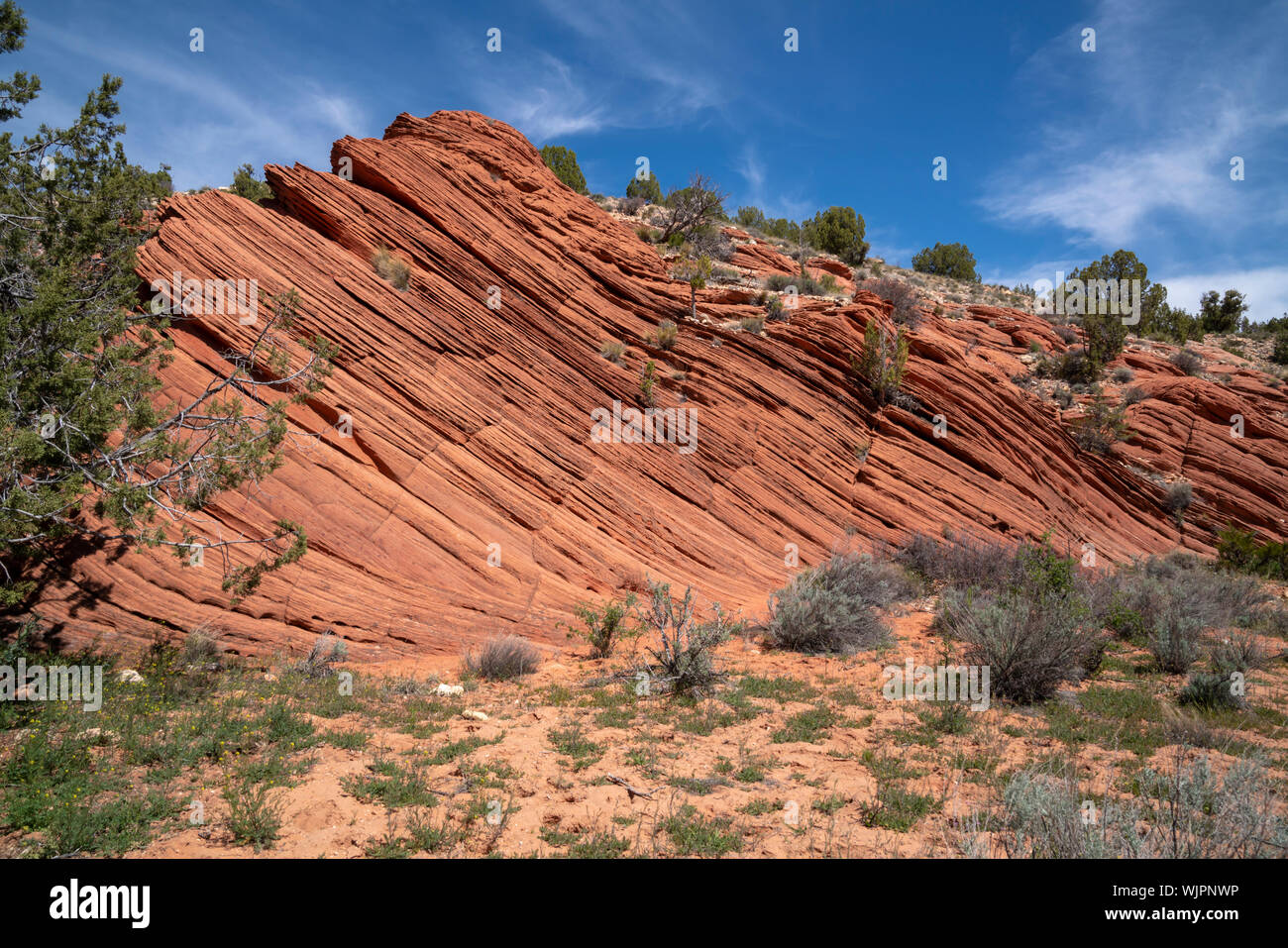 Buckskin pass hi-res stock photography and images - Alamy