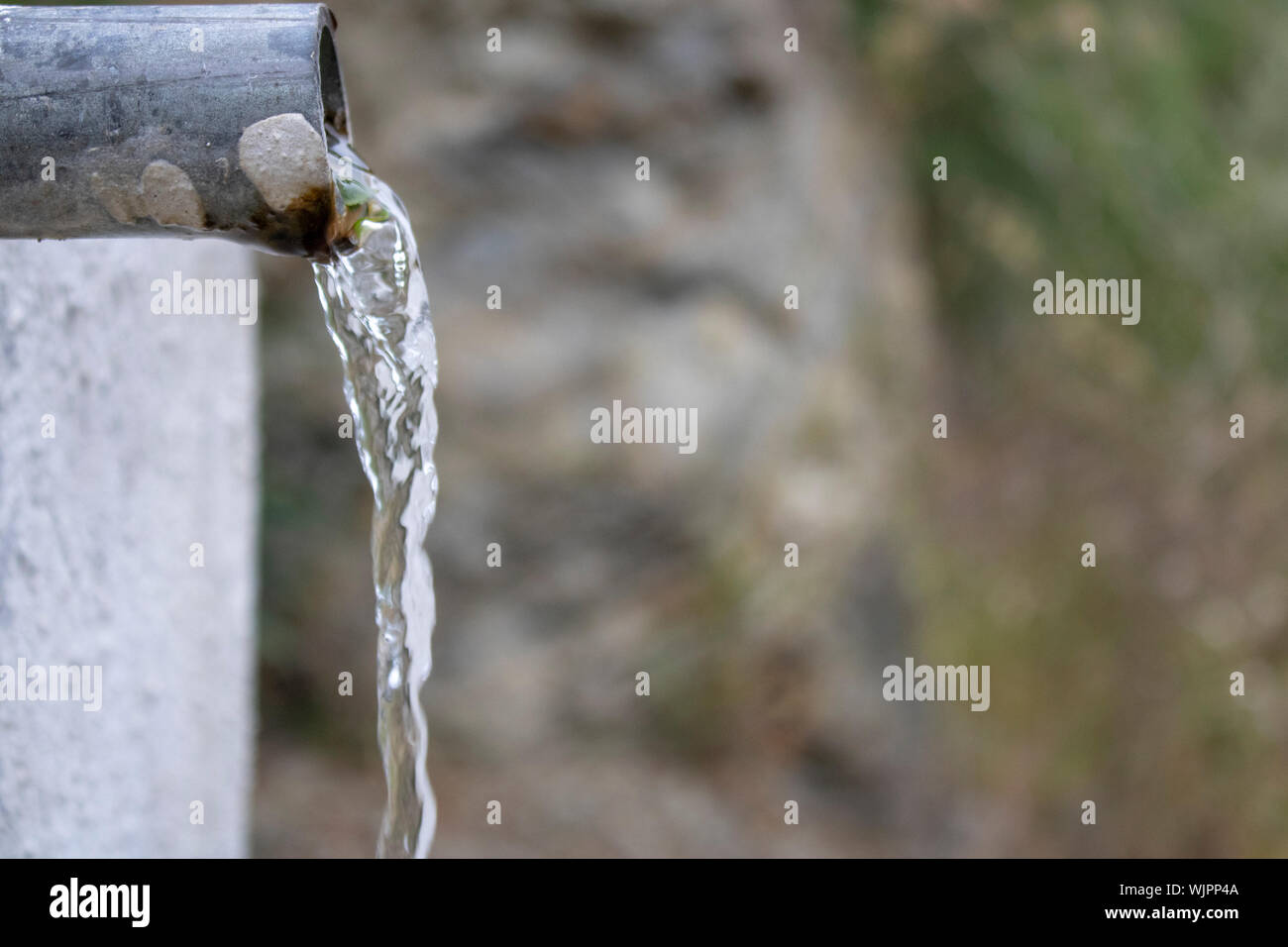 Taken in the woods. Natural spring water. Flowing through the pipe ...