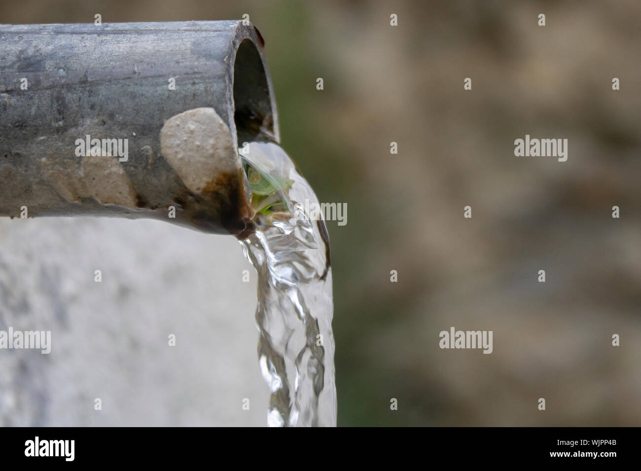 Taken in the woods. Natural spring water. Flowing through the pipe ...