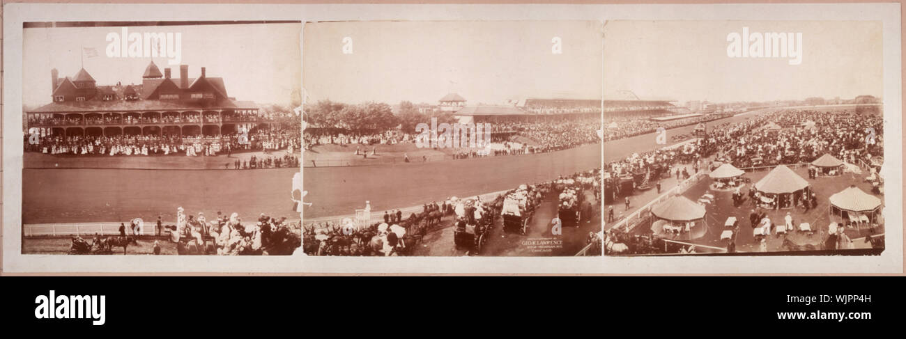 Horse infield hi-res stock photography and images - Alamy