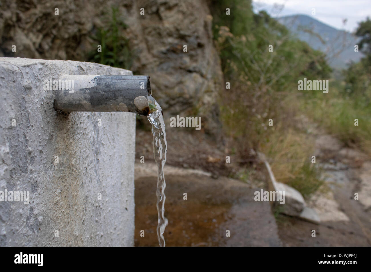 Taken in the woods. Natural spring water. Flowing through the pipe ...