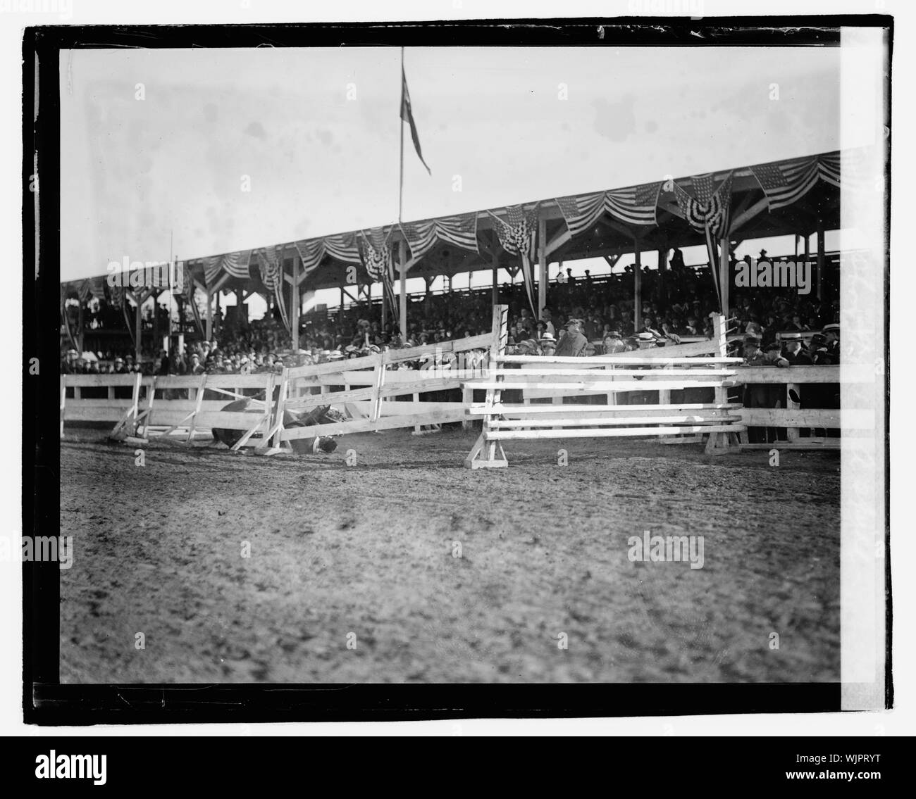 Horse performance photo Black and White Stock Photos & Images - Alamy